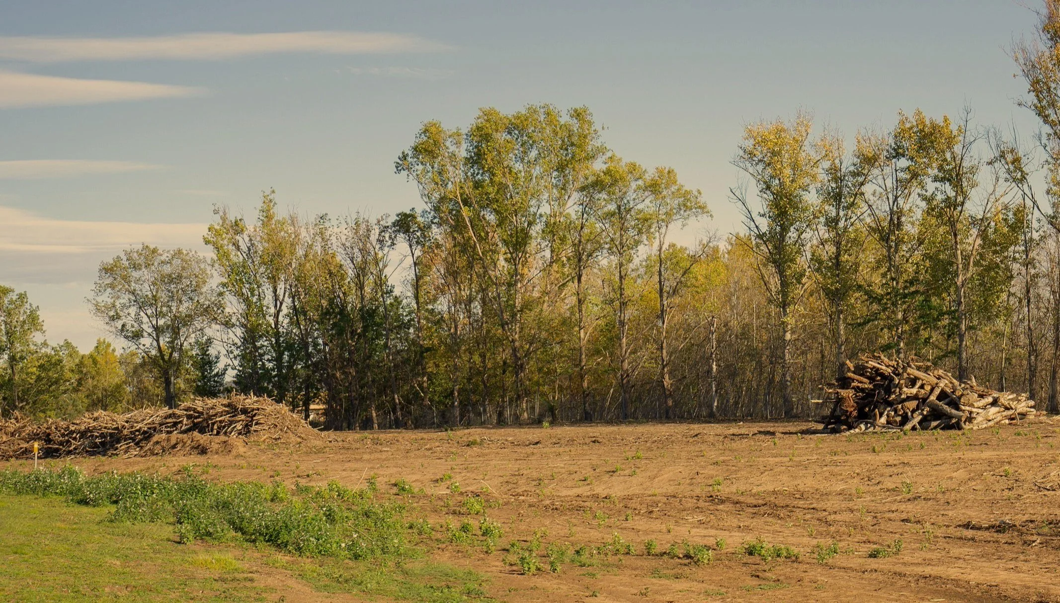 Geographe Land Management