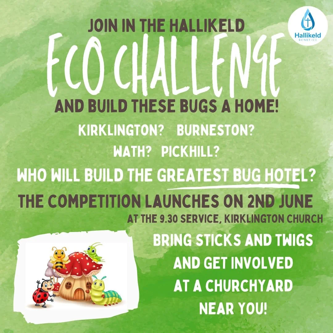 What's On? — Hallikeld