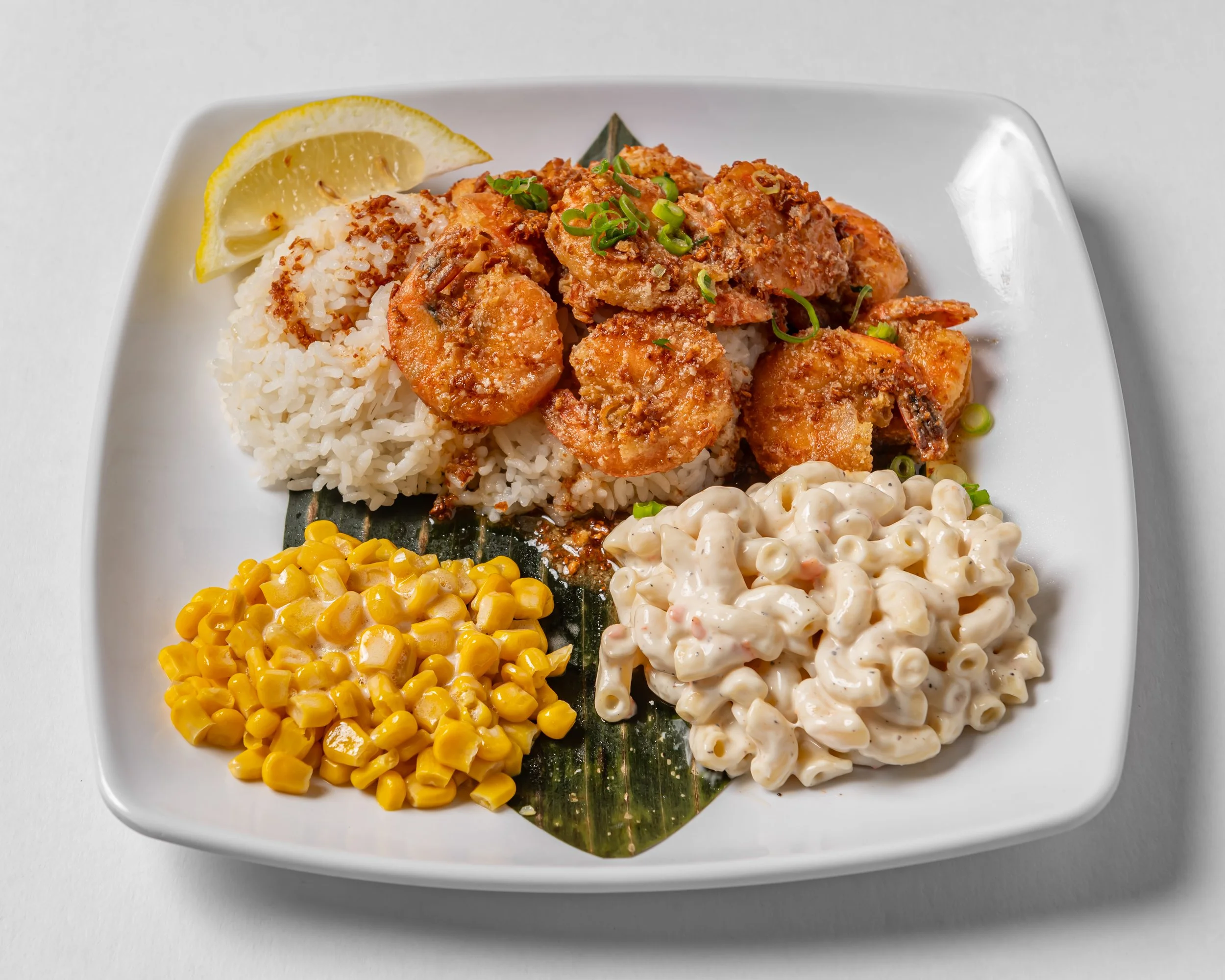 Menu — Aloha Hawaiian Grill