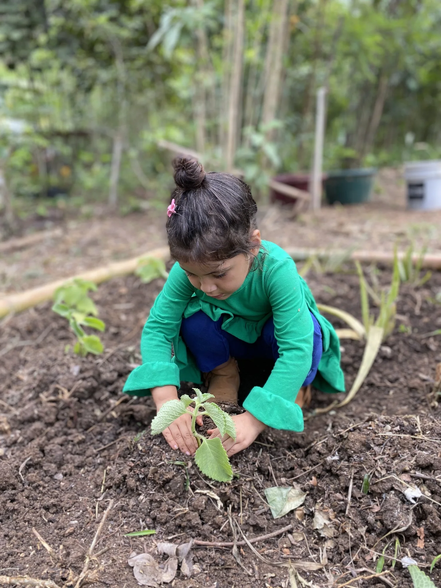 What We Do — Evoca Foundation