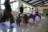 Goga | Yoga with Goats | Mucky Bucket Farm