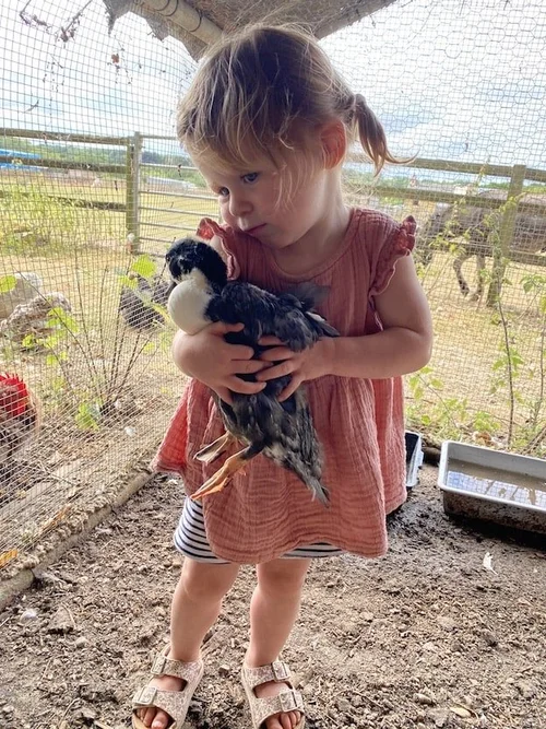 Mucky Bucket Farm
