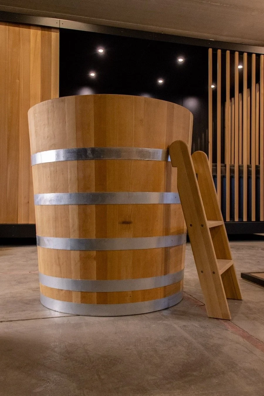 Is een dompelbad of ijsbad gezond? | 20ft Wellness® - DLGC