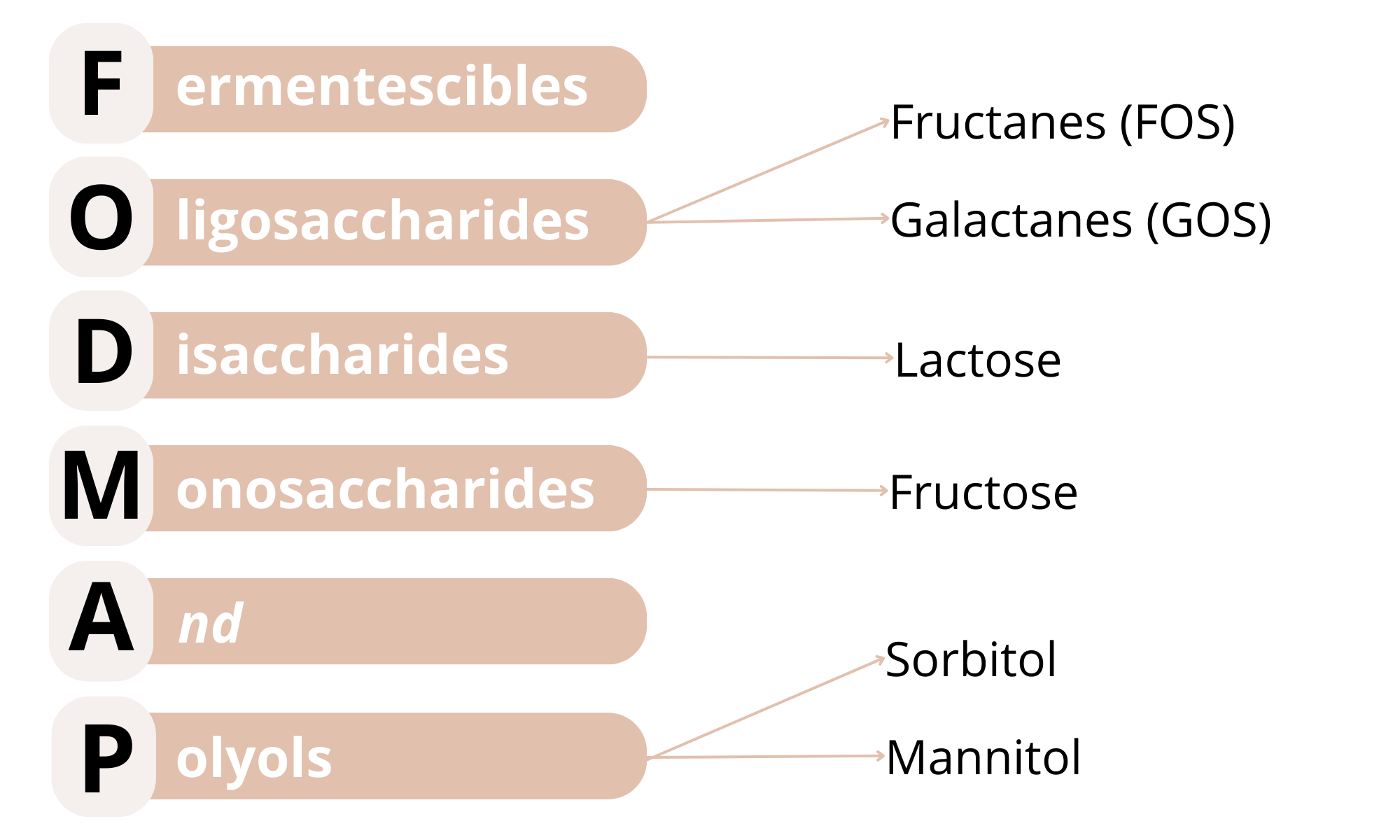 Comprendre le régime faible en FODMAP — Flore Nutrition