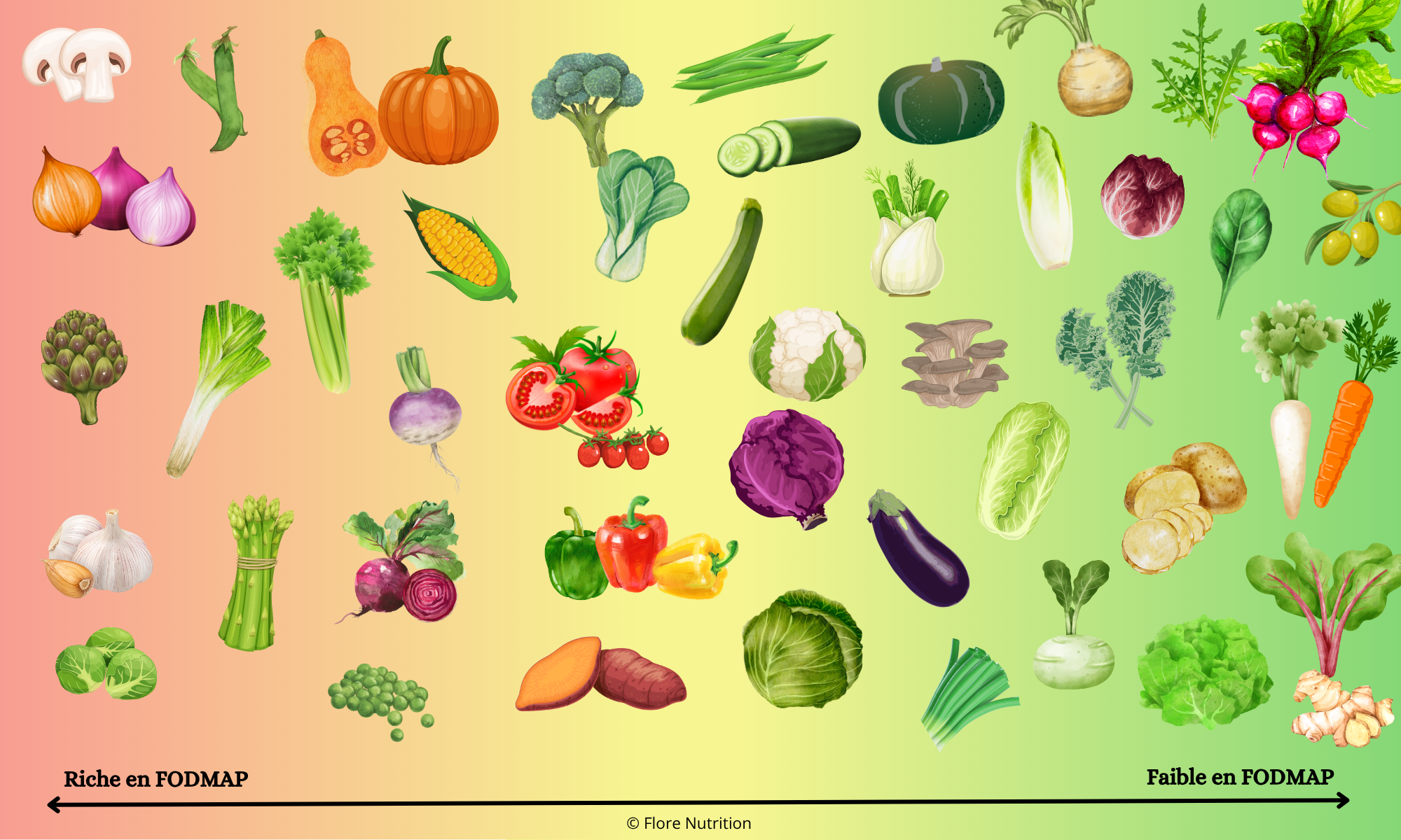 Comprendre le régime faible en FODMAP — Flore Nutrition