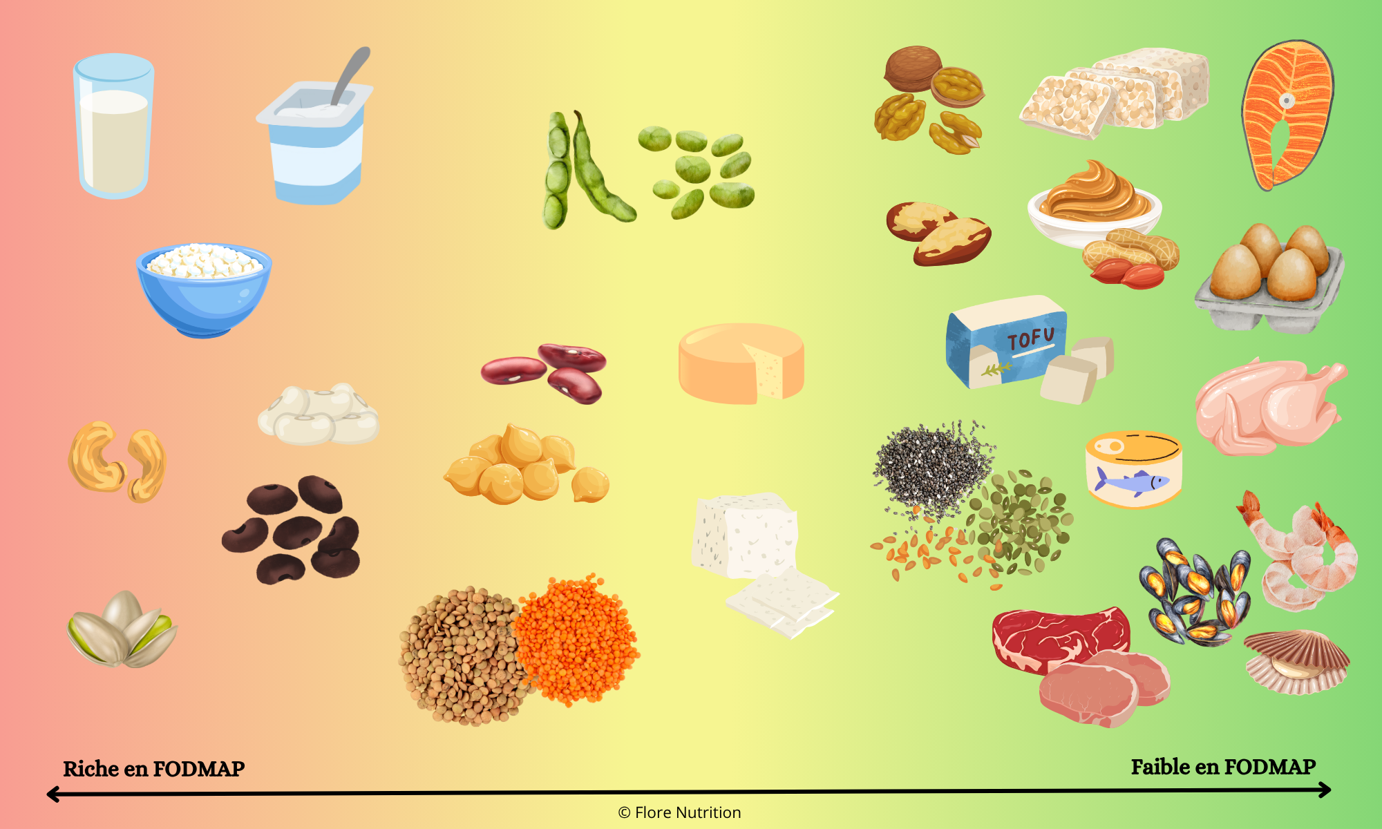 Comprendre le régime faible en FODMAP — Flore Nutrition