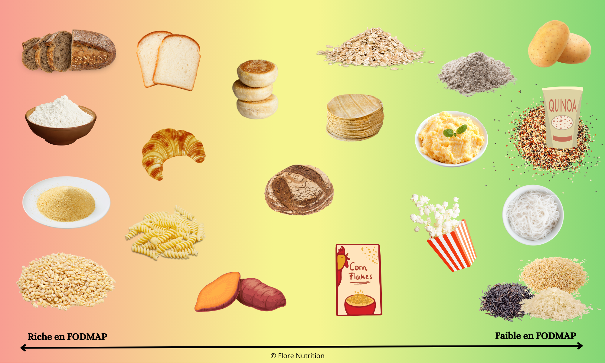 Comprendre le régime faible en FODMAP — Flore Nutrition