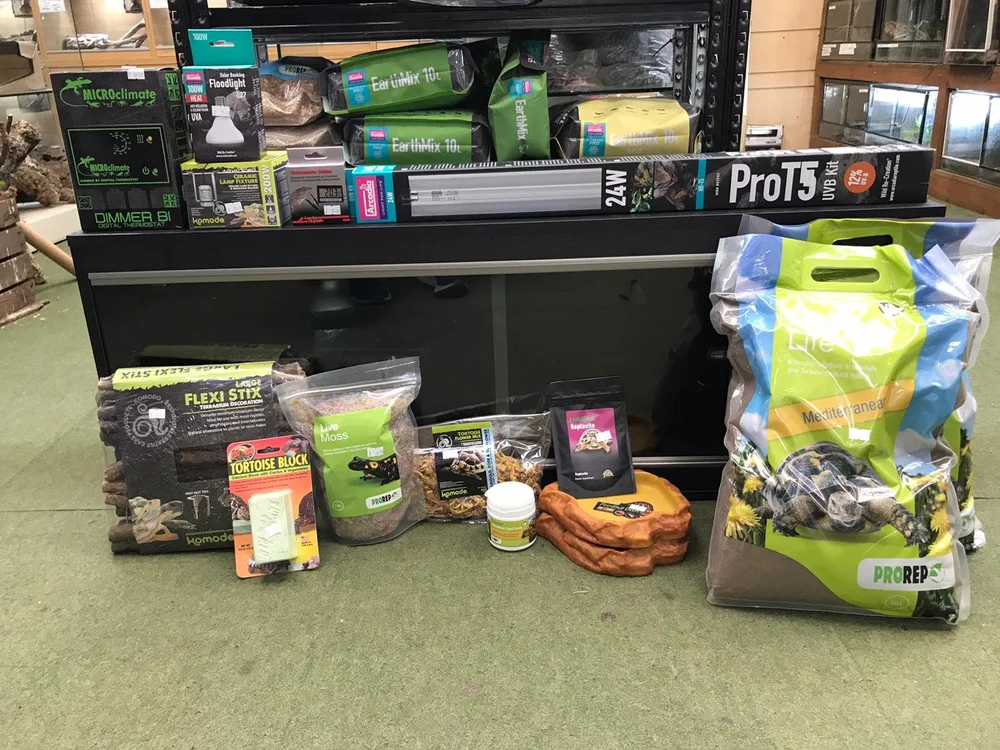 Jungle Reptiles - The Lushest UK Reptile Shop