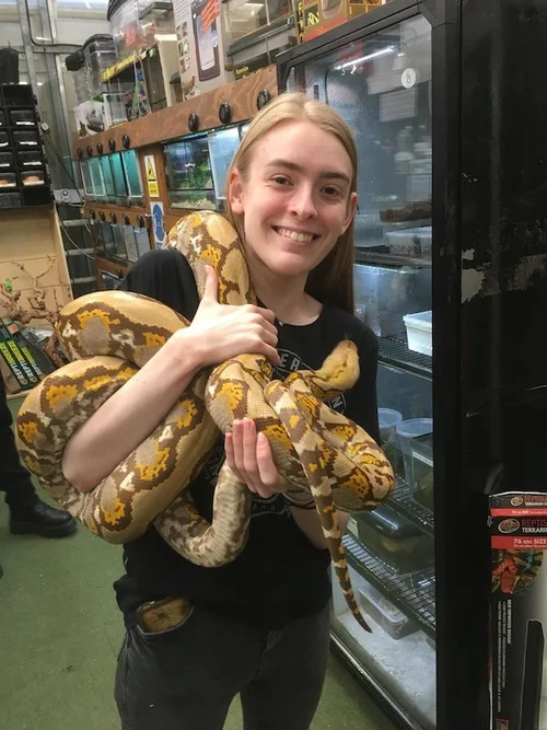 UK Reptile Shop - Jungle Reptiles
