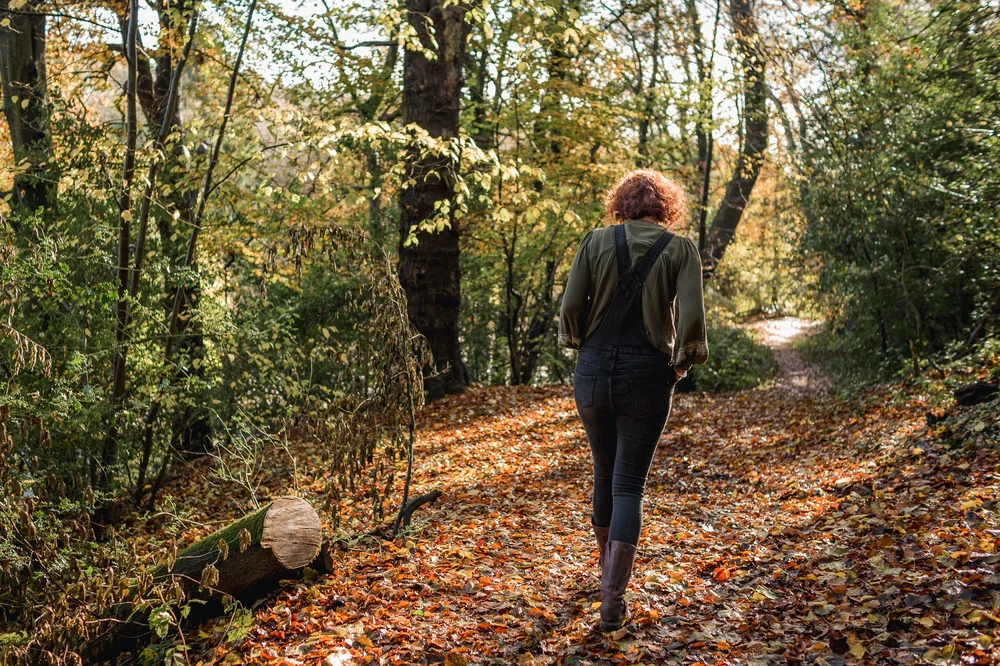 Journal / Blog for Heidi owner of Dingley Dell Creative follow my ...