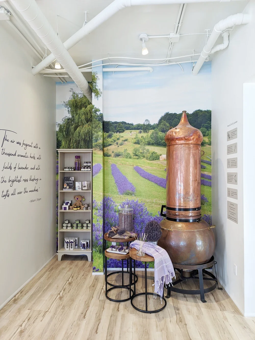 Lavender Store — NOLA Designs Inc. | Retail Interior Design