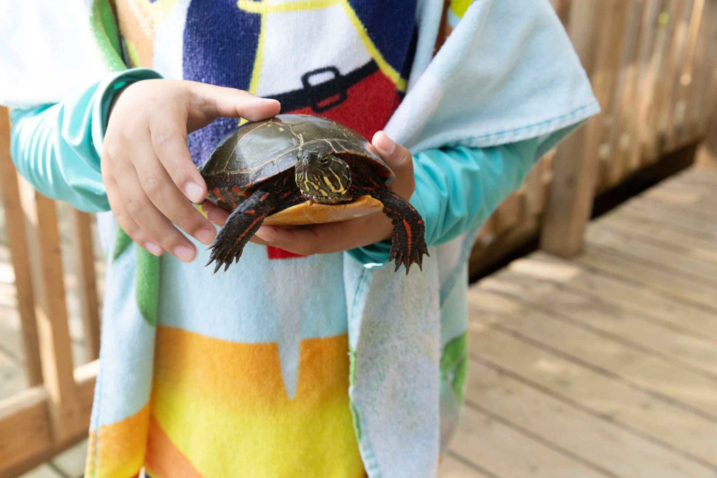 Through My Lens at The Pinery on Lake Huron — Chelsea Gomez Photography