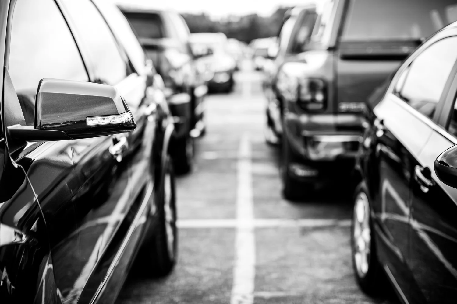 The GRAA Auction Experience — Greater Rockford Auto Auction