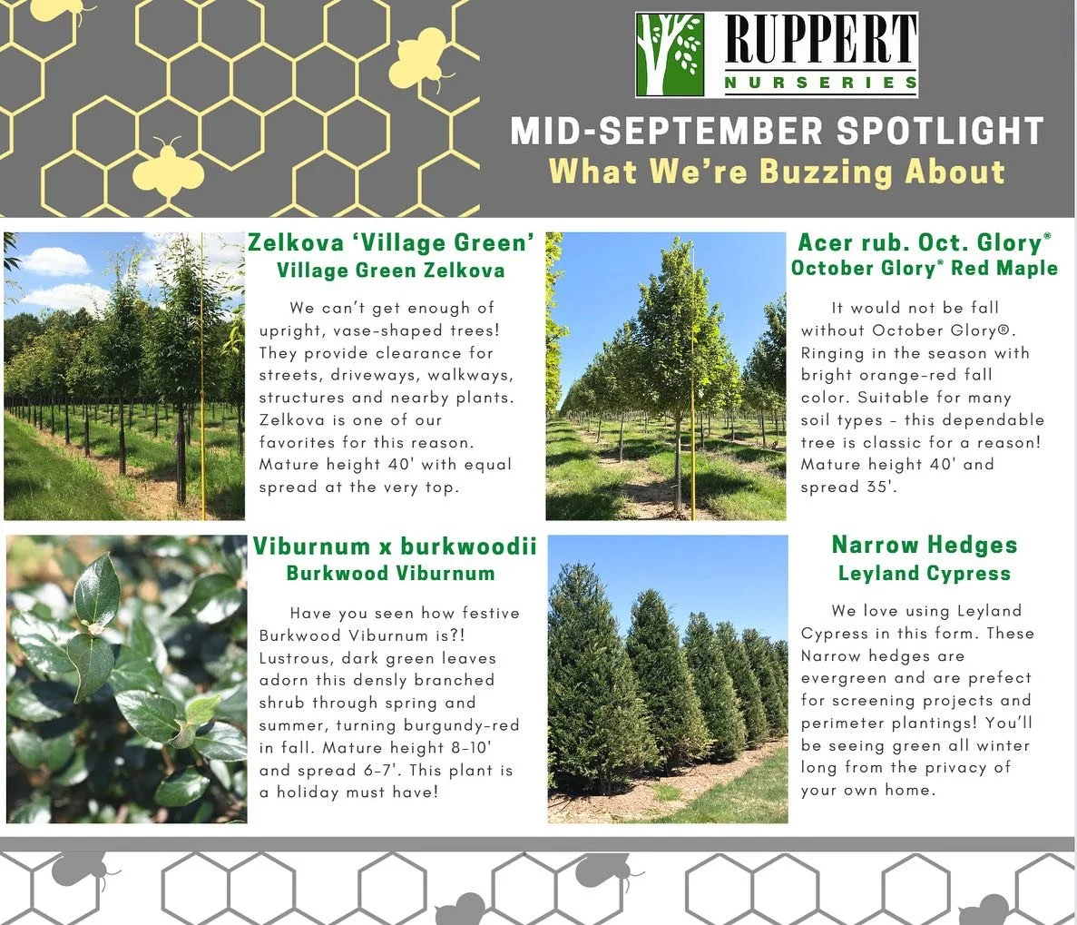 Ruppert Nurseries
