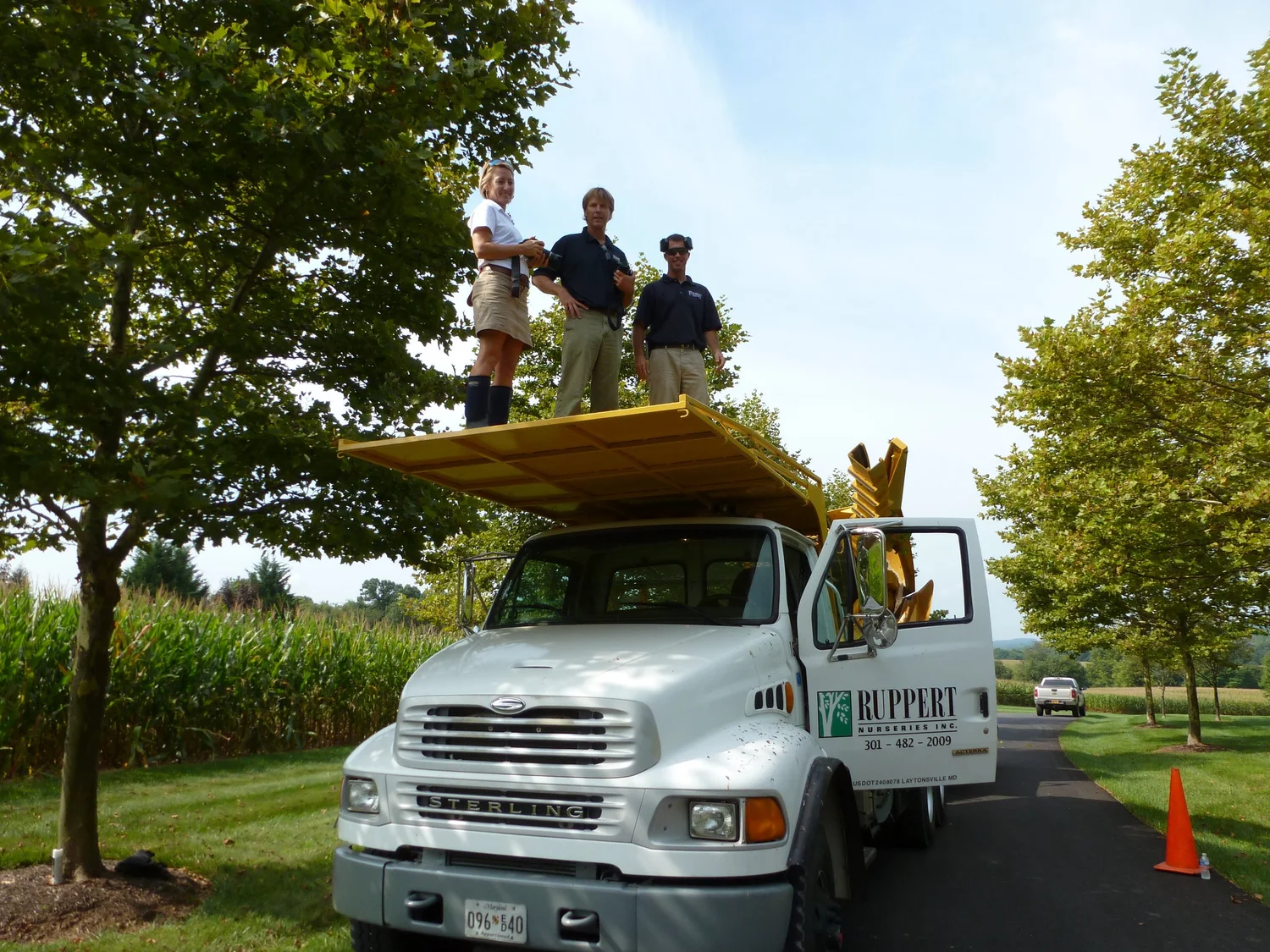 Large Tree Moving — Ruppert Nurseries