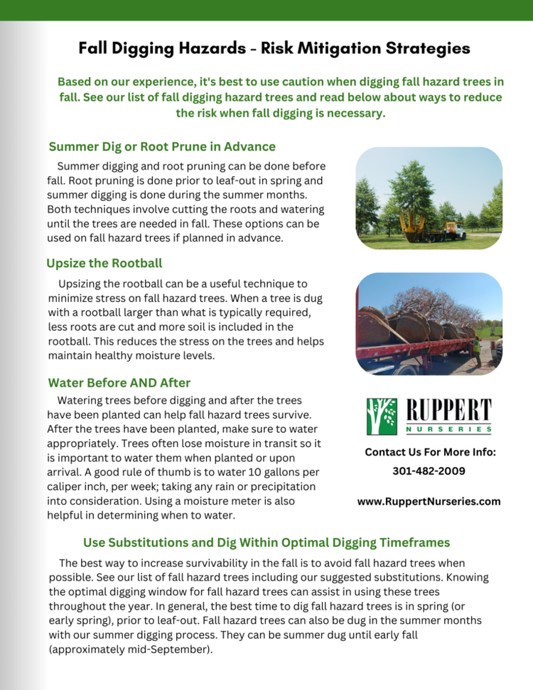 Fall Digging Hazards – Risk Mitigation Strategies — Ruppert Nurseries