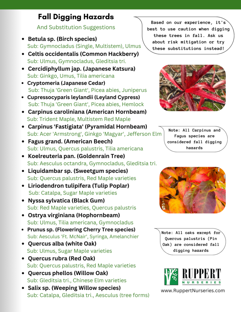 Fall Digging Hazards List and Substitutions — Ruppert Nurseries
