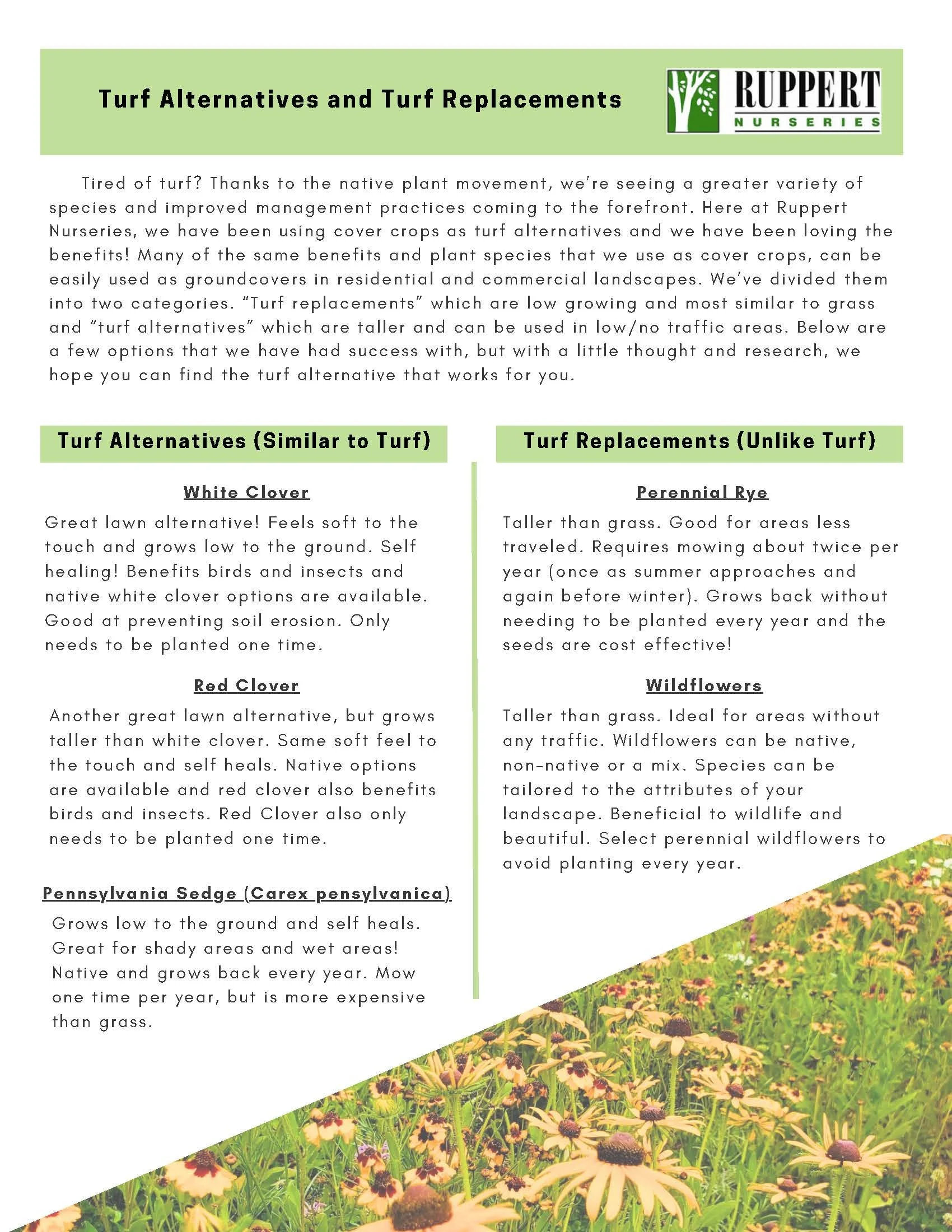 Using Cover Crops in the Landscape for Soil Health and Turf Reduction ...