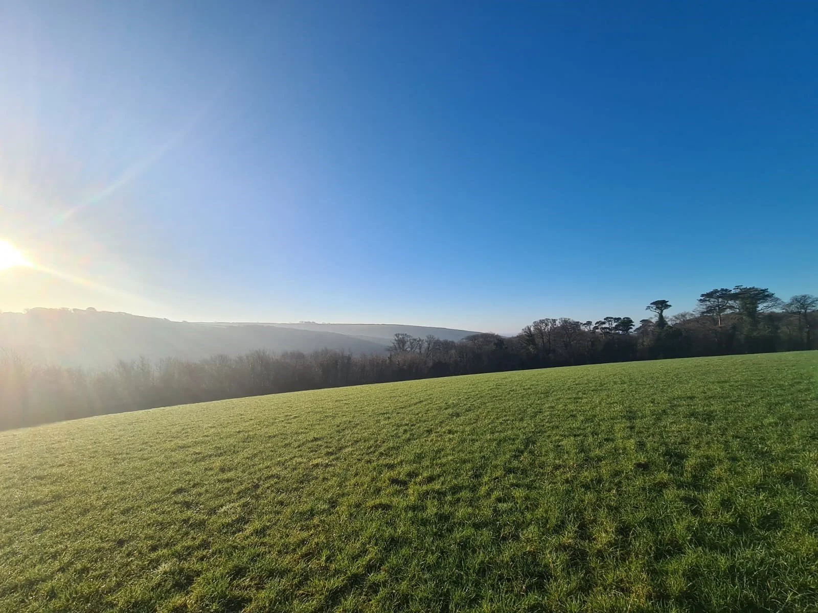 Pointy Cabin — Rusty Sheds