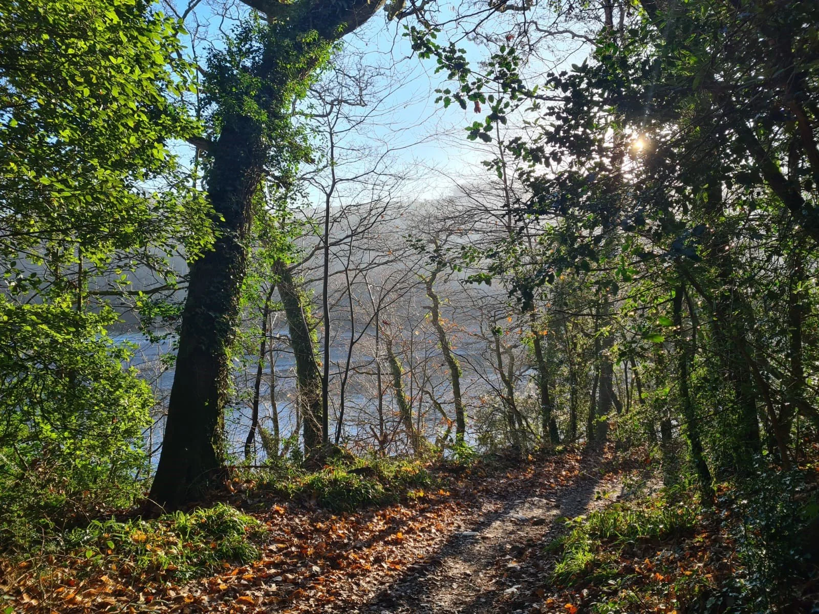 Pointy Cabin — Rusty Sheds