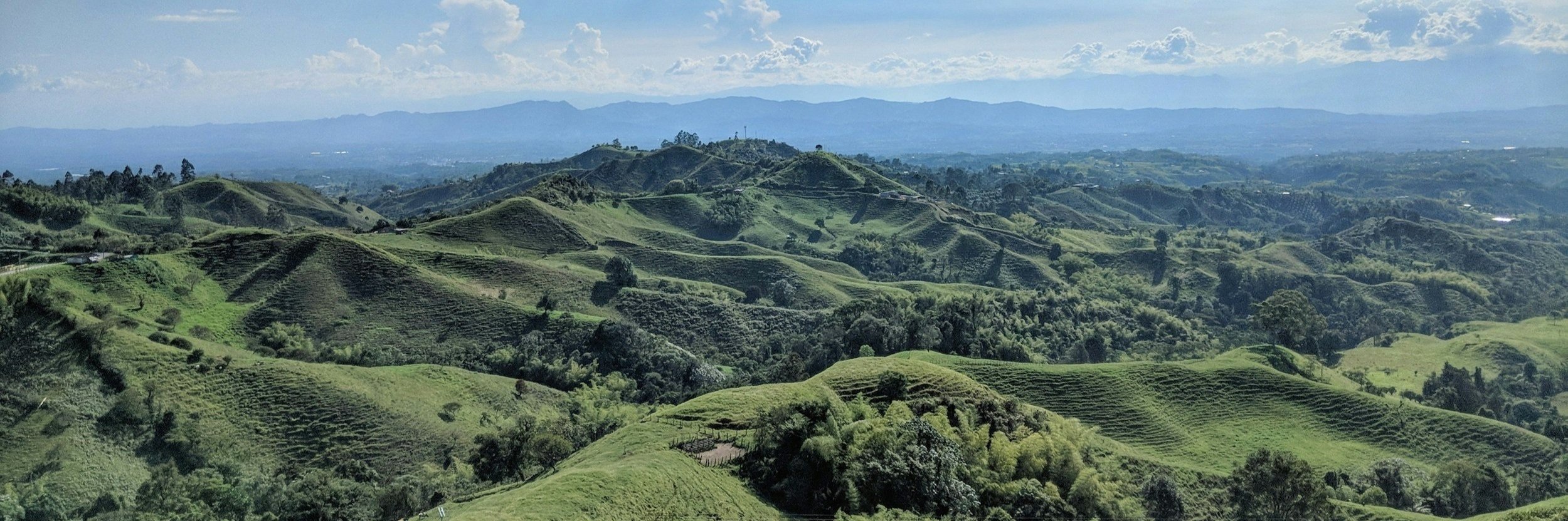 Benchmark Report: Living Wage Report and 2025 Update for the Caribbean ...