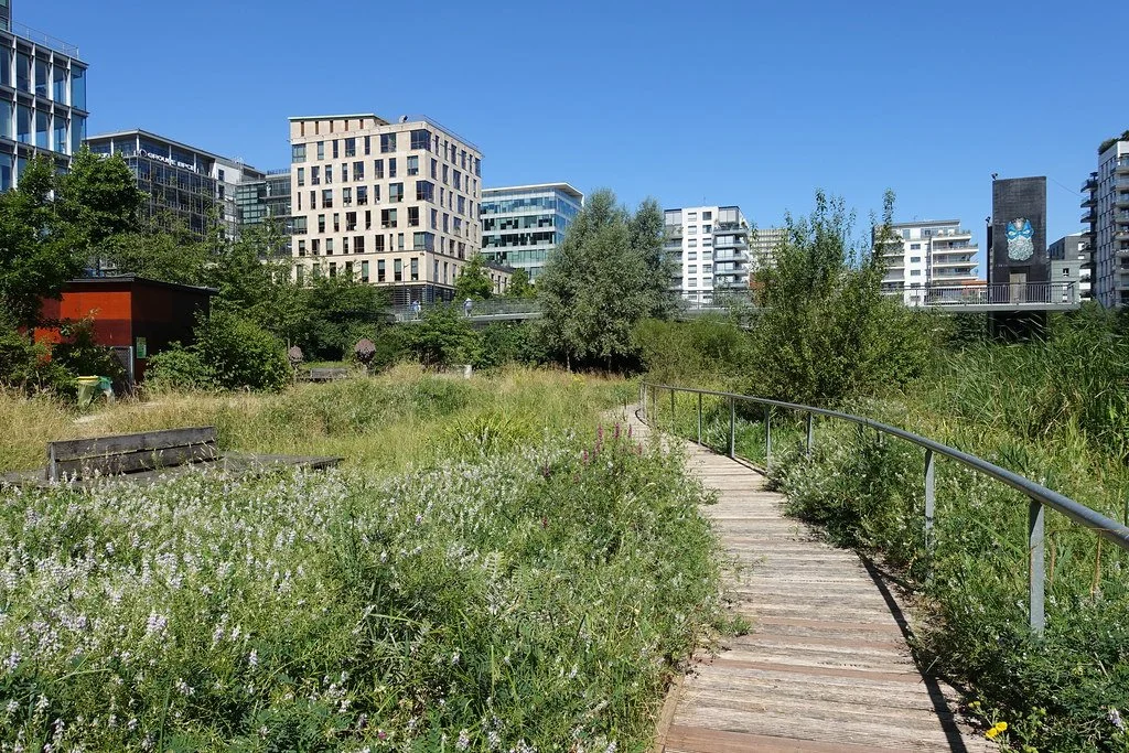 Projects — Second Nature Ecology + Design