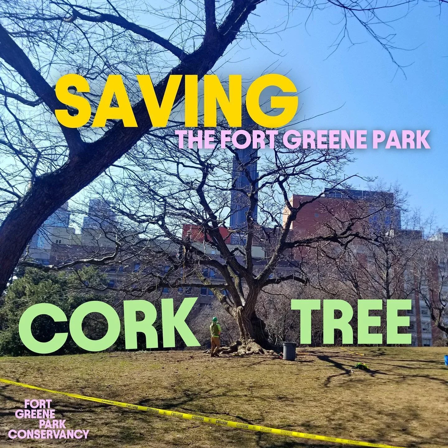 Fort Greene Park Conservancy