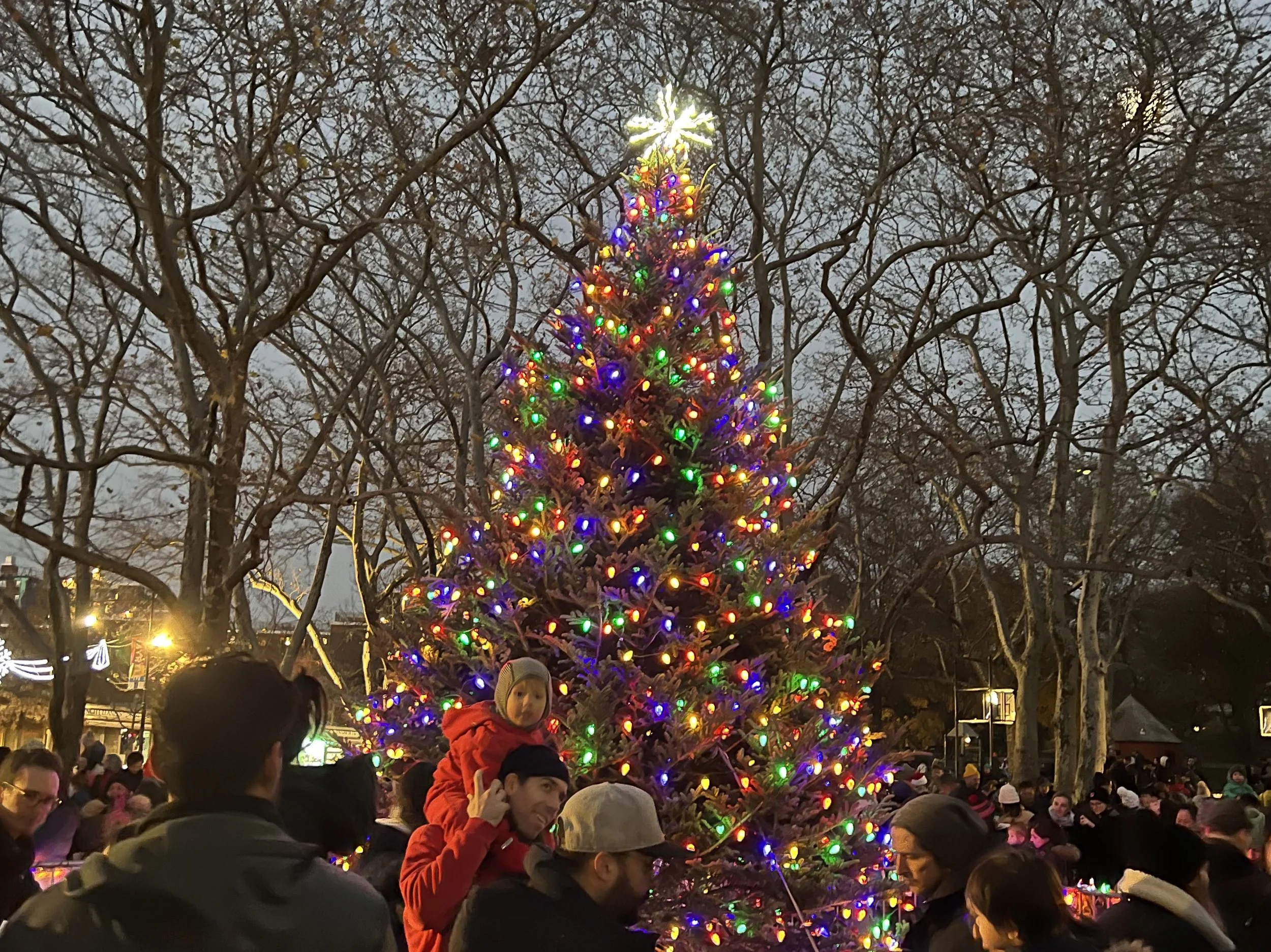 Annual Tree Lighting Ceremony — Fort Greene Park Conservancy