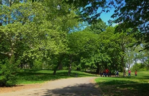 Park Map — Fort Greene Park Conservancy