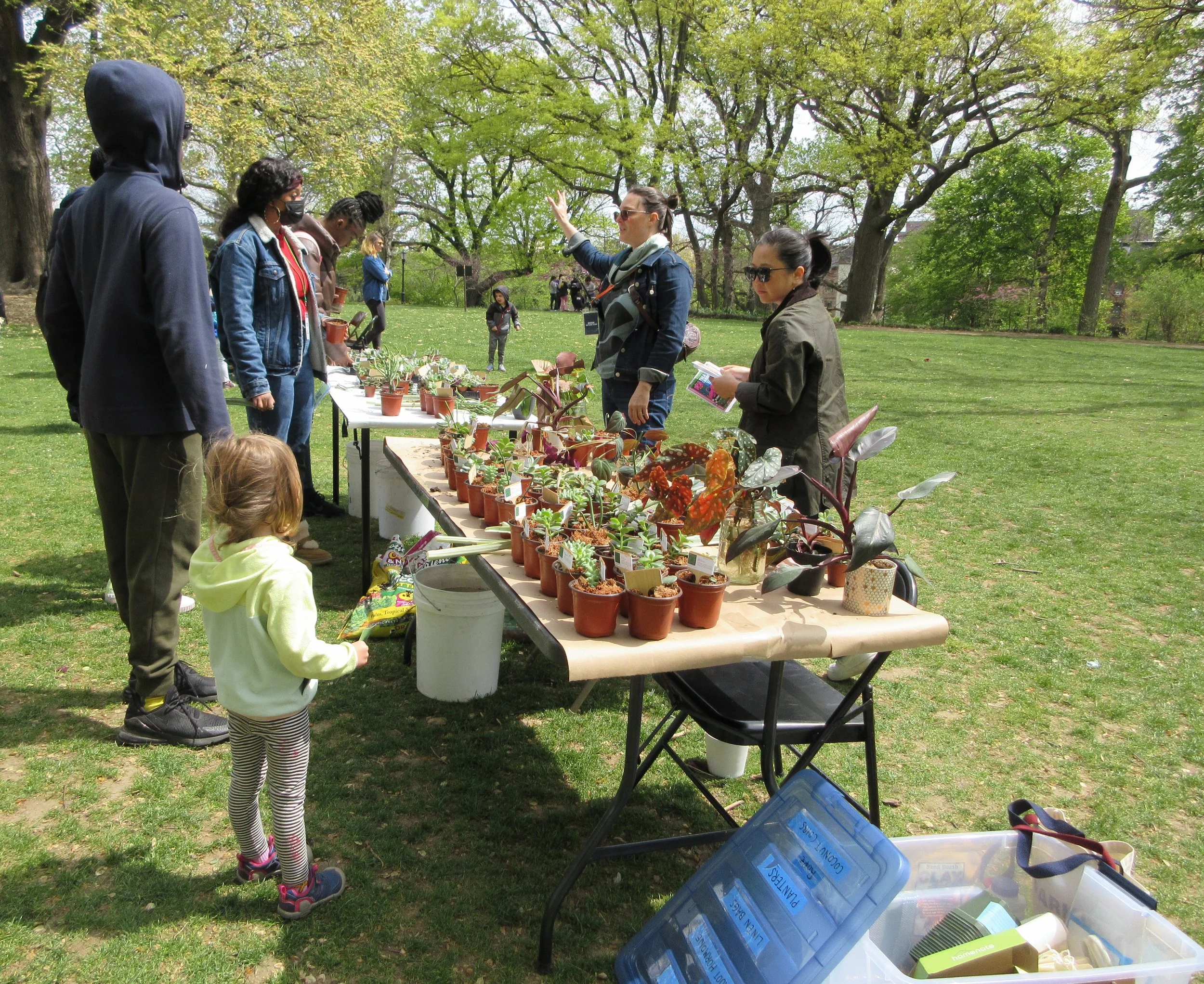 Spring Campaign — Fort Greene Park Conservancy