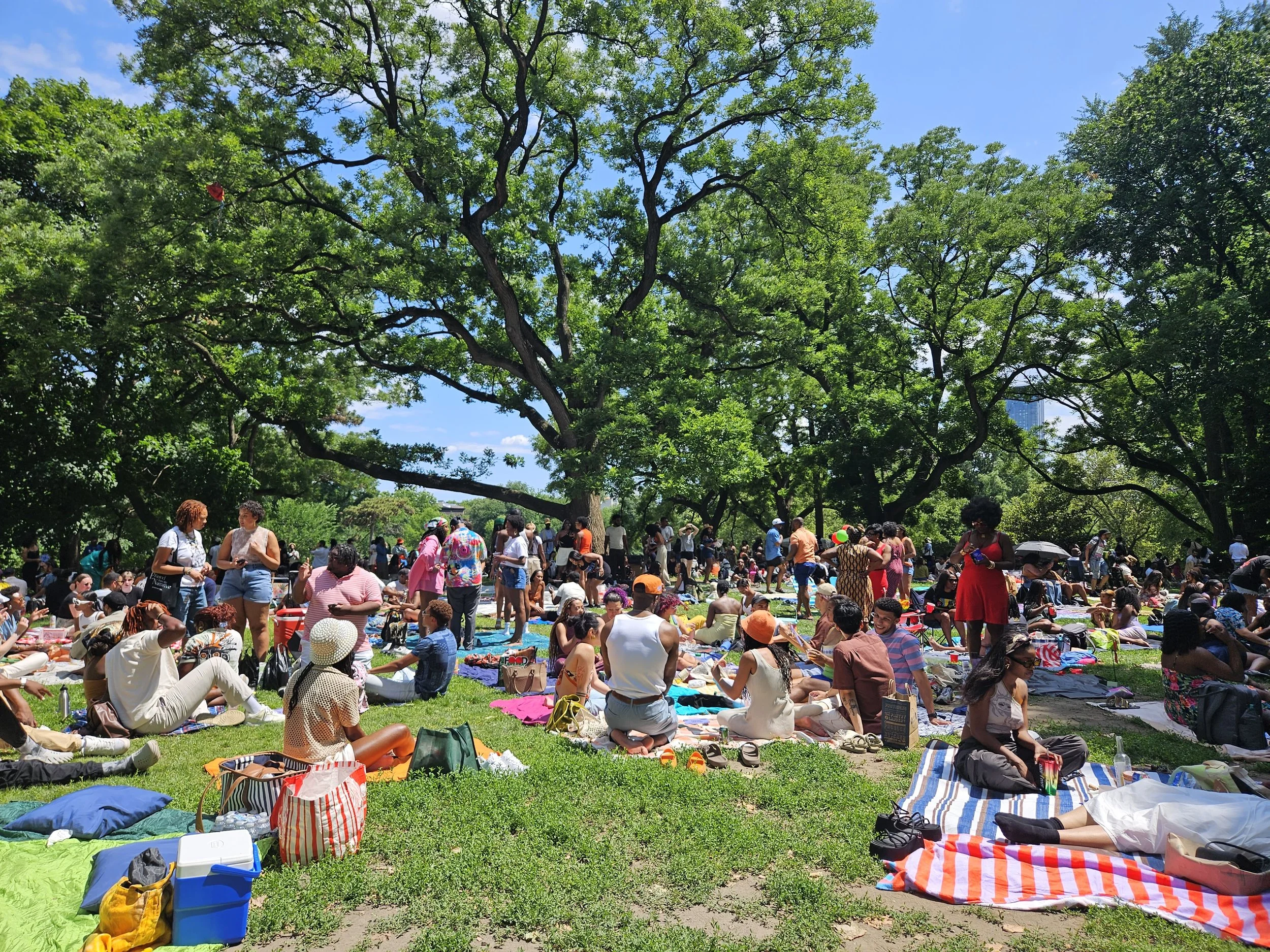 Donate — Fort Greene Park Conservancy