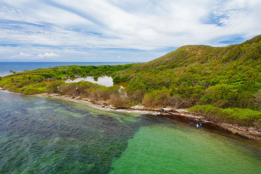 Guanaja Lodge — Fly Fish Guanaja