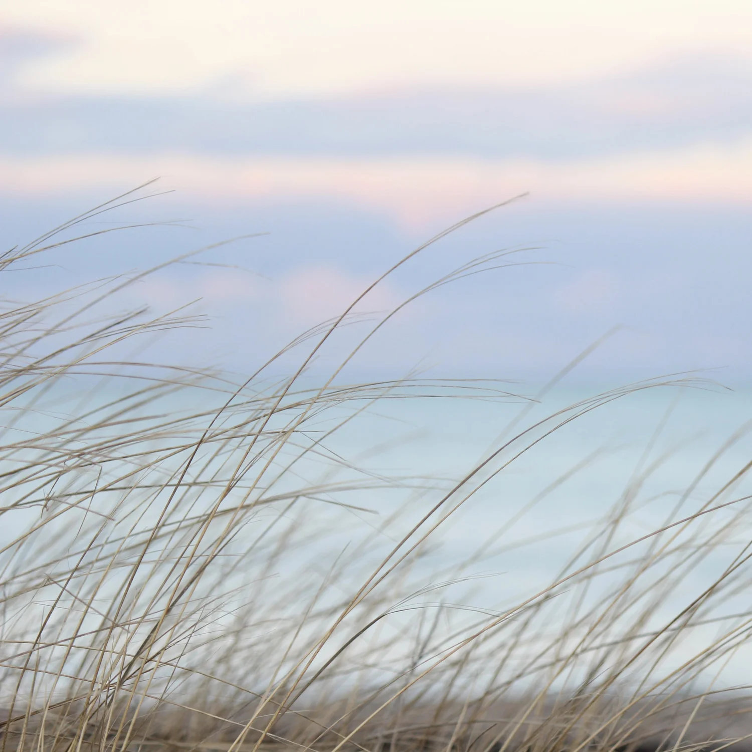 Meet Travel Sommelier | Bespoke Travel Curators