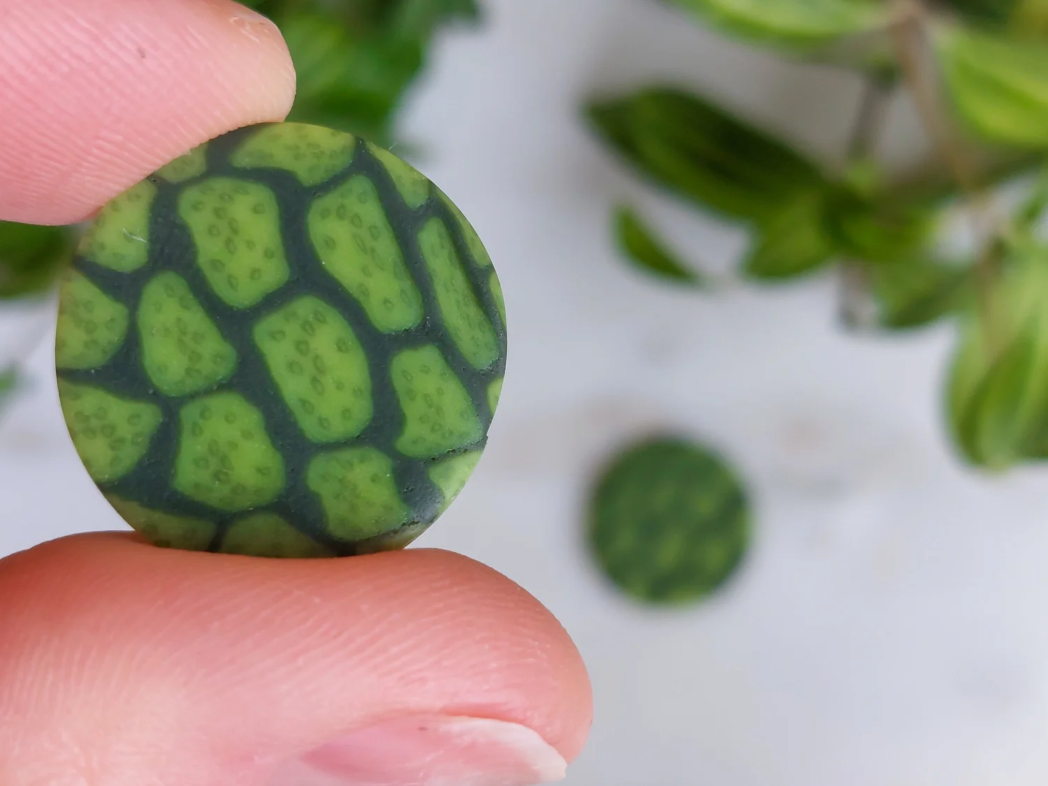 Plant Cells Under the Microscope Earrings — Woodsmoke and Willow