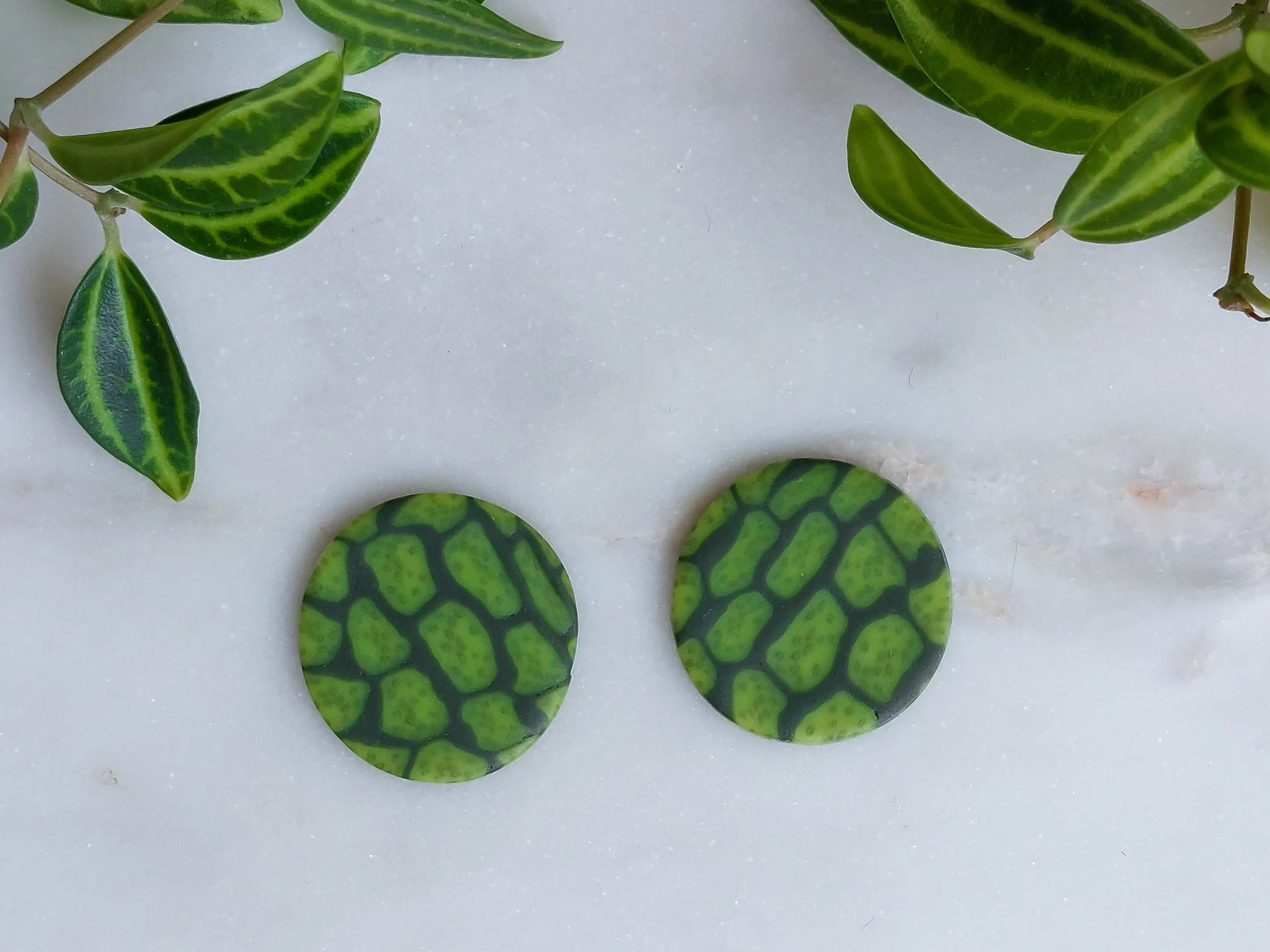 Plant Cells Under the Microscope Earrings — Woodsmoke and Willow