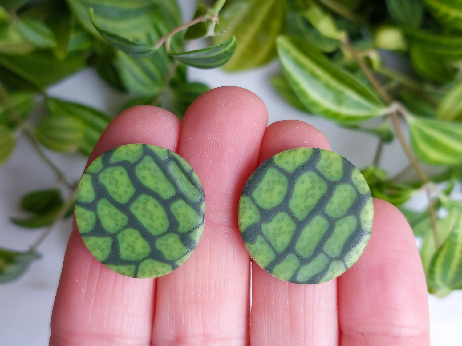 Plant Cells Under the Microscope Earrings — Woodsmoke and Willow