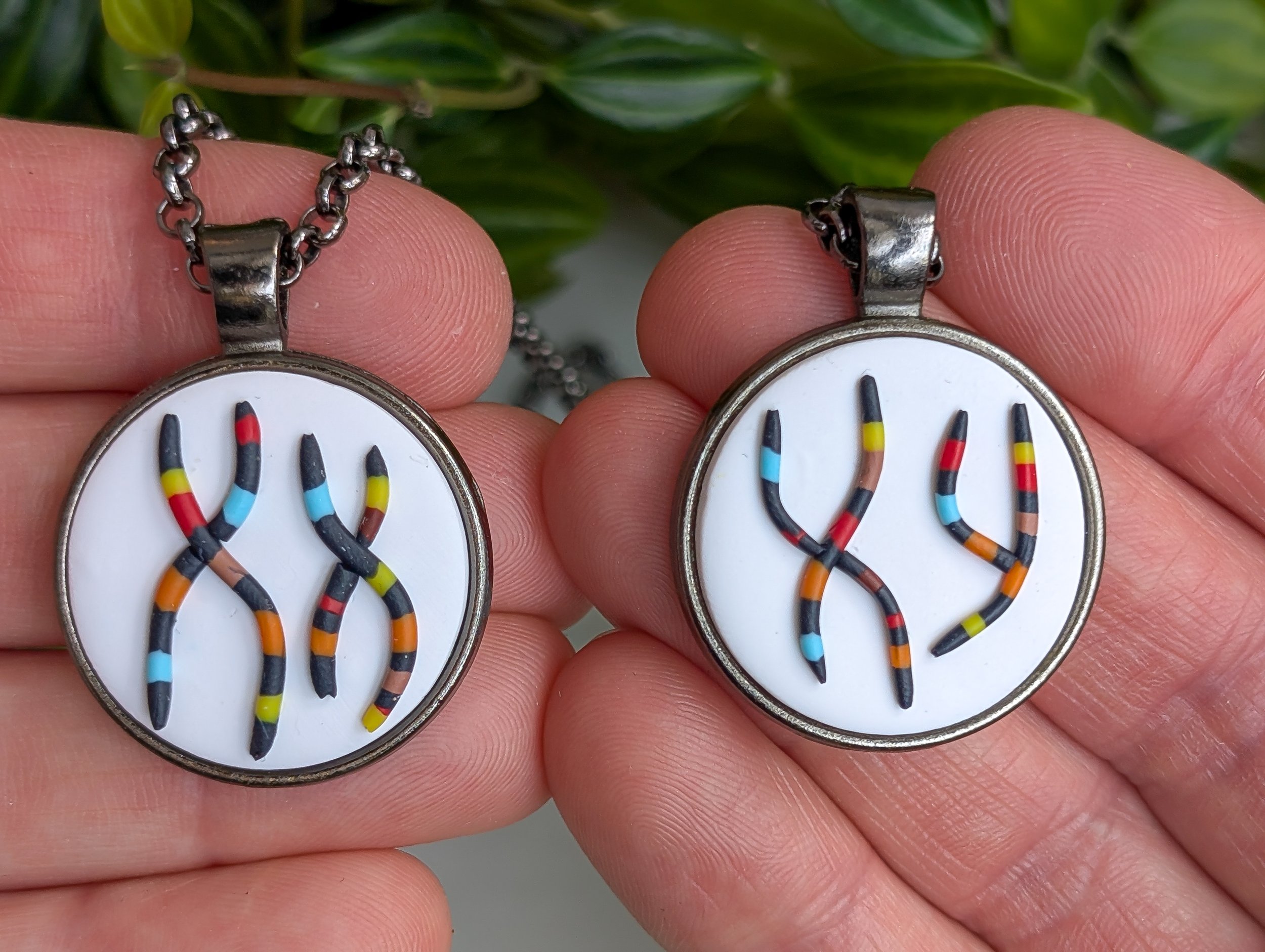 Plant Cells Under the Microscope Earrings — Woodsmoke and Willow