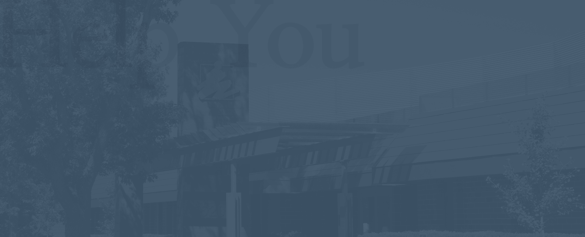 About Us - Accredited Investors Wealth Management