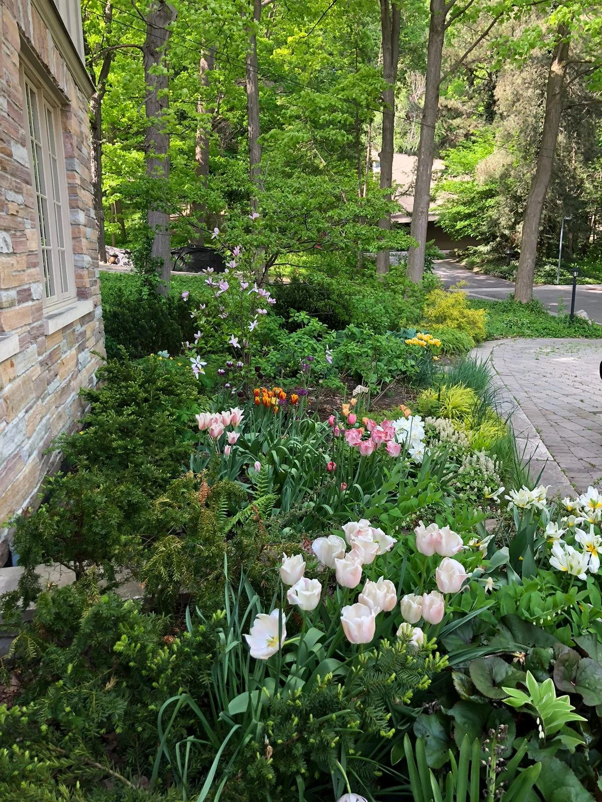 Gallery — Restorative Landscapes