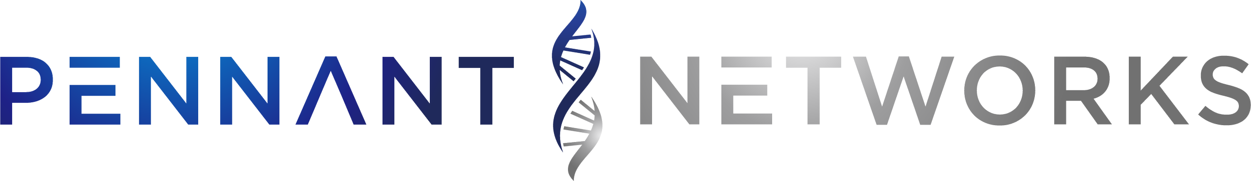 Pennant Networks Technology Consultants