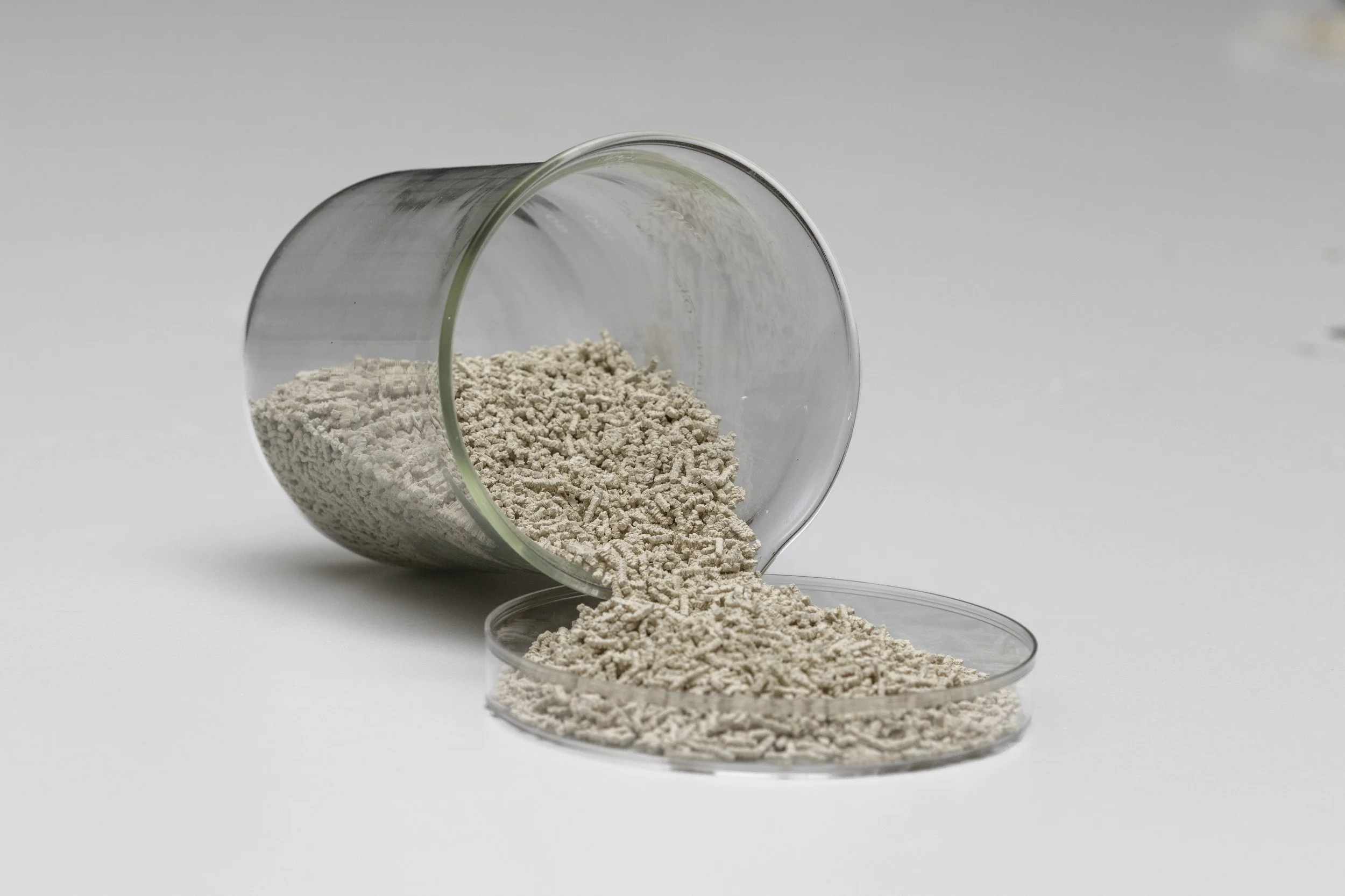 Solutions — cellora