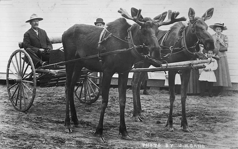 New Brew — Alberta Ale Works