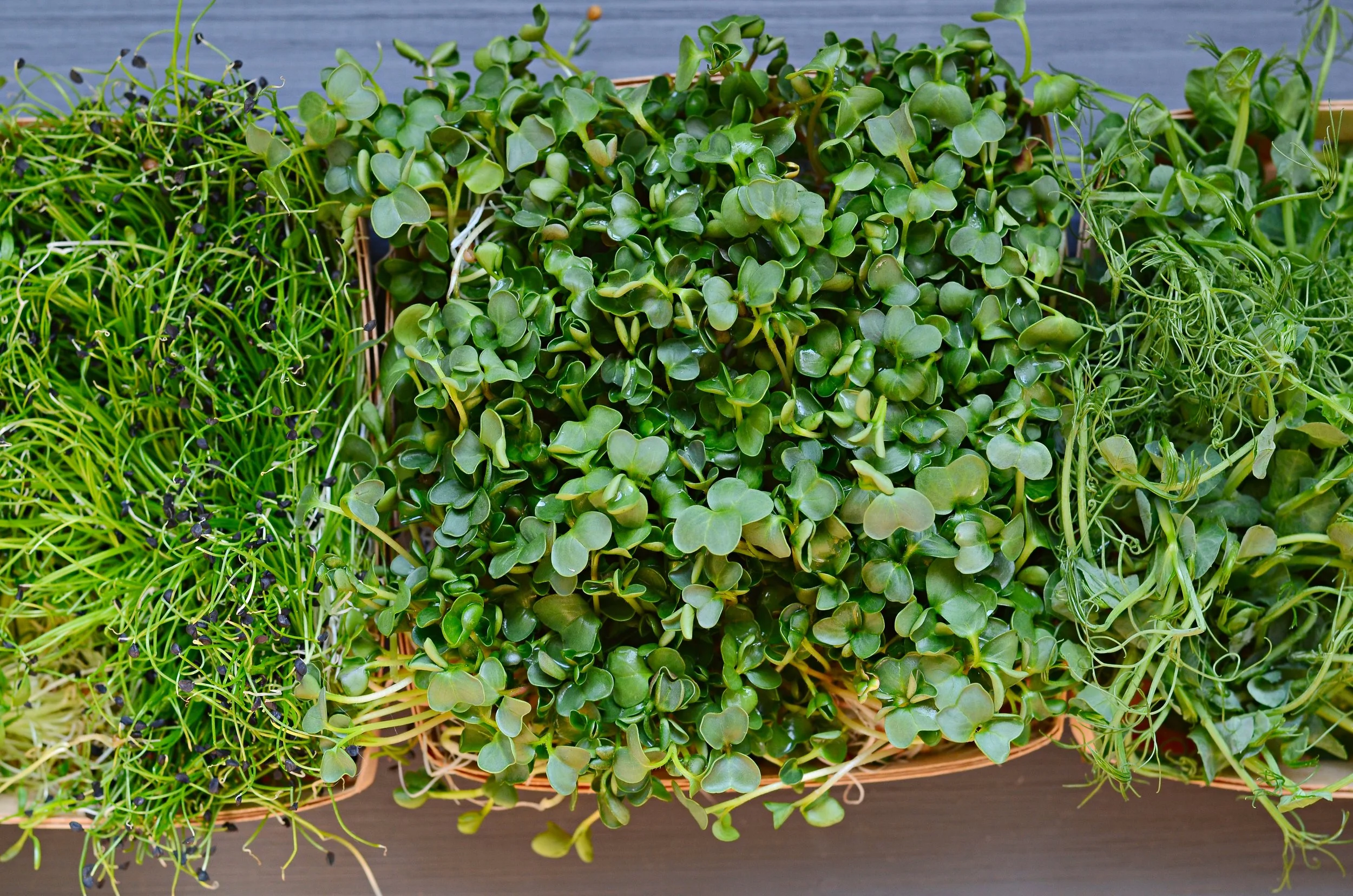 Fresh Greens of Colorado | Premium Fresh Produce | Pueblo, CO