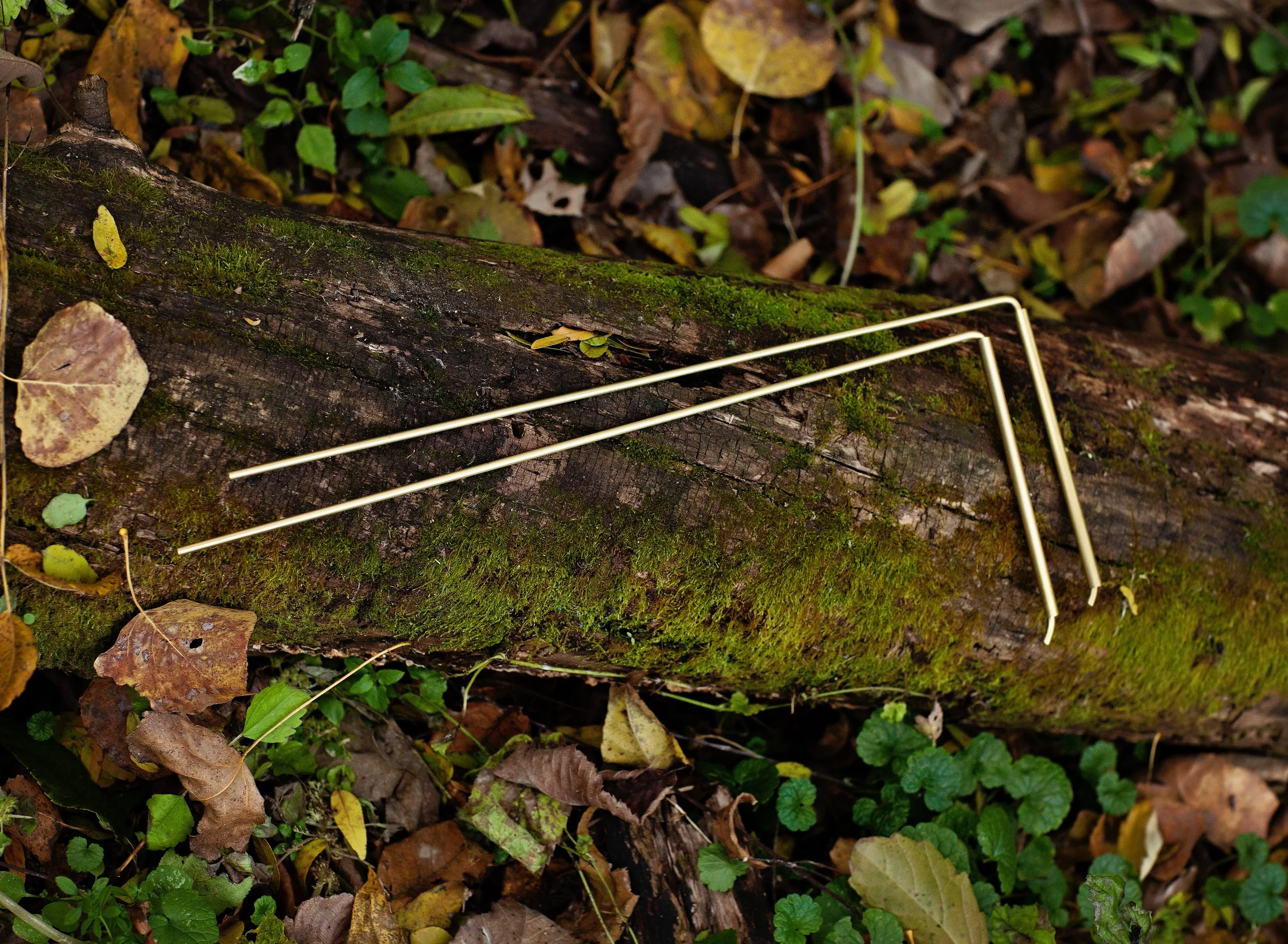 Diamond Dowsing Basic | A Course Designed to Transform Your Space ...