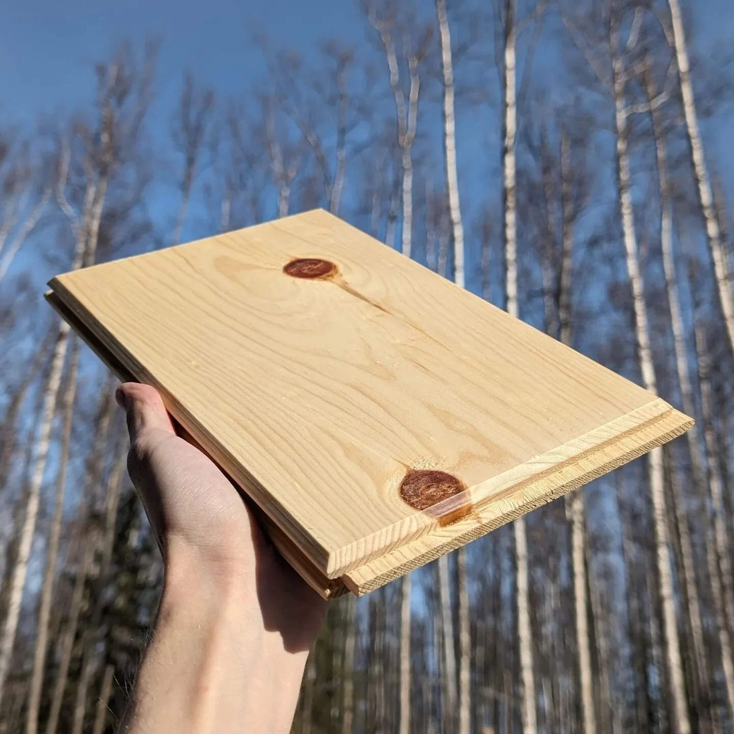 Stitt Construction | Custom Alaska Tiny Homes