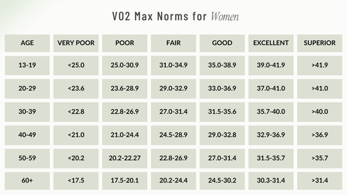 Understanding VO₂ Max During Perimenopause & Menopause — bonza health
