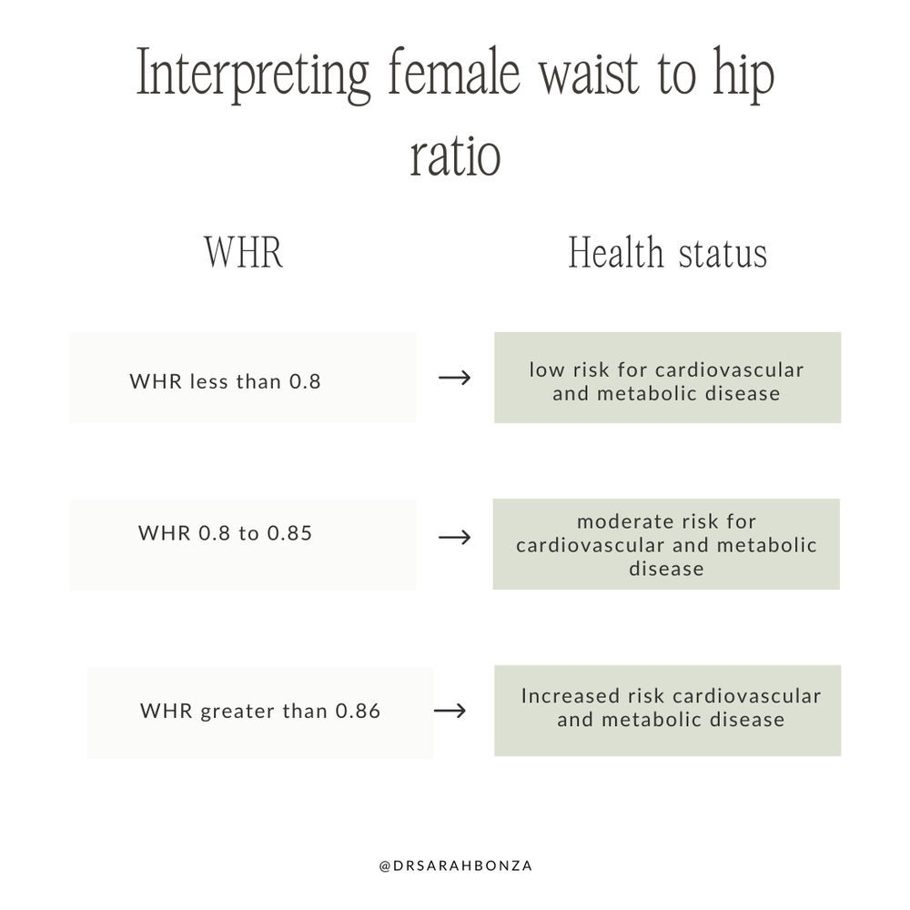 Importance of Waist to Hip Ratio During Menopause — bonza health
