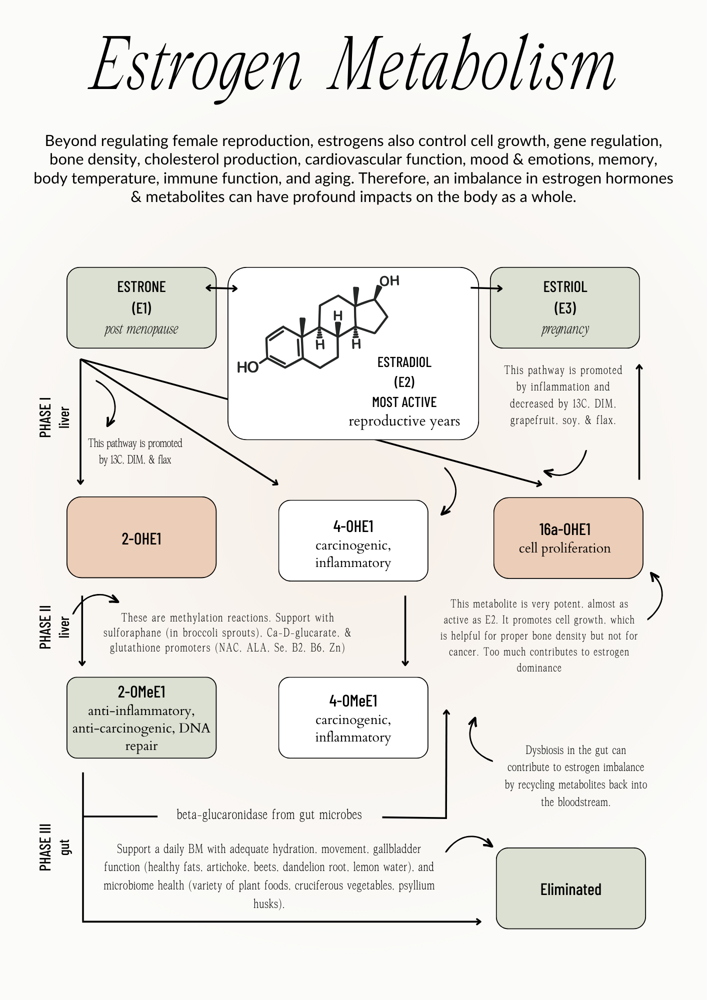 Mastering Hormone Health: Managing Estrogen Dominance — bonza health