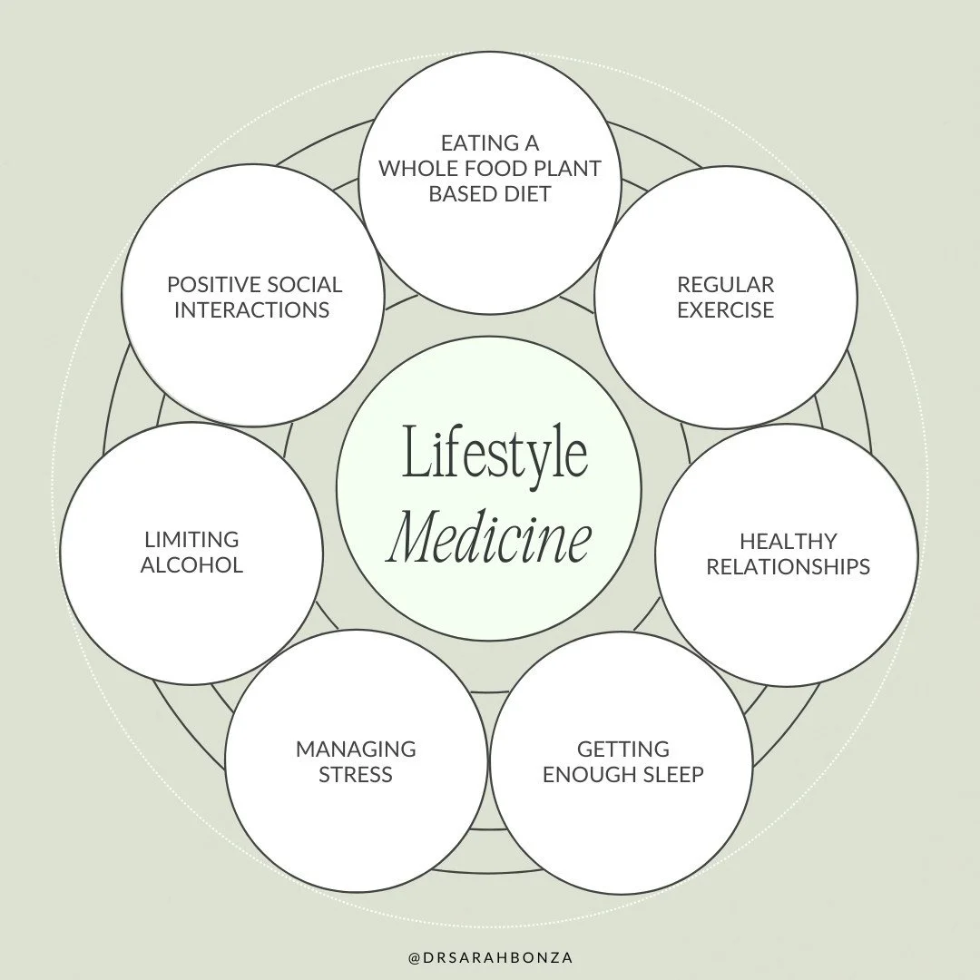 A Guide to Body Composition Changes During Menopause — bonza health