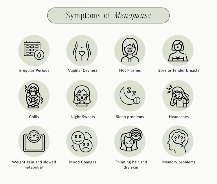 Comprehensive Guide to Menopause & Perimenopause — bonza health